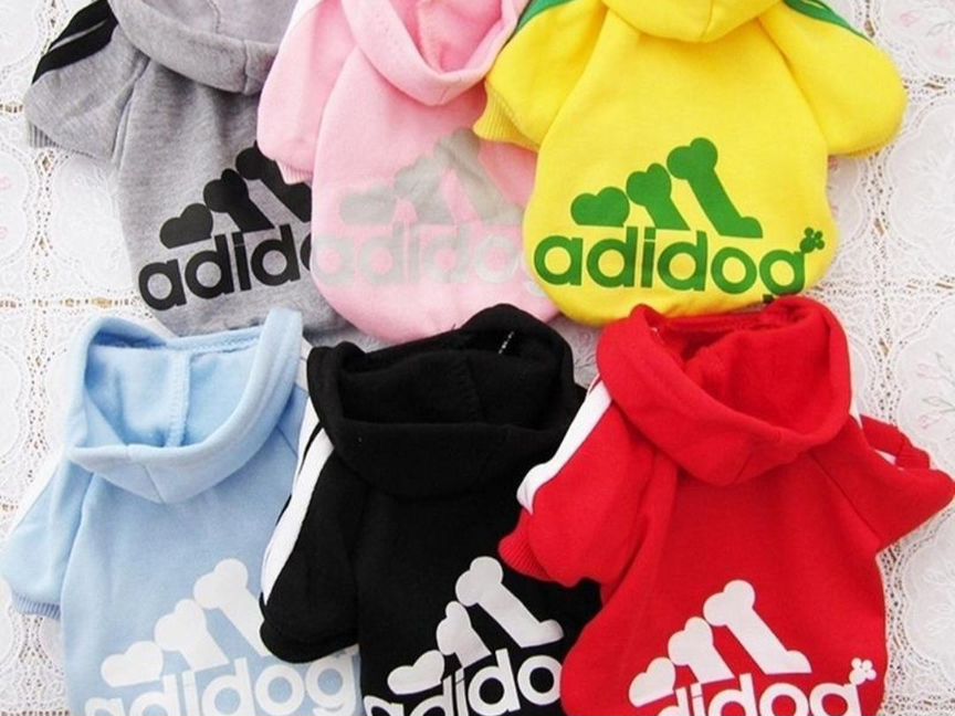 Толстовка для собак Новая