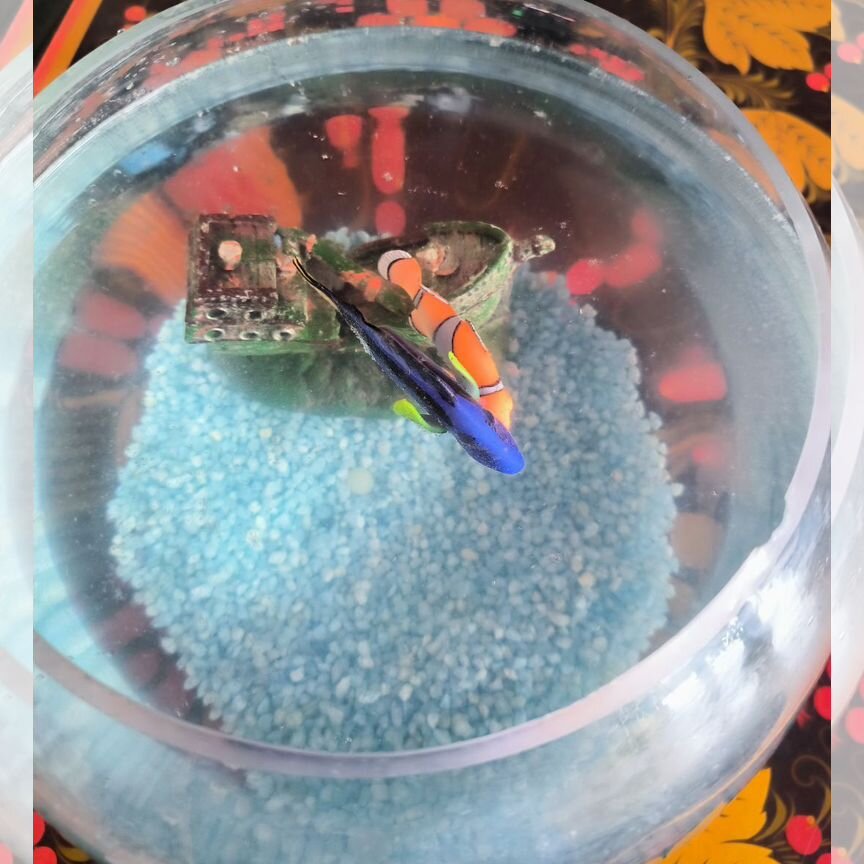 Аквариум круглый