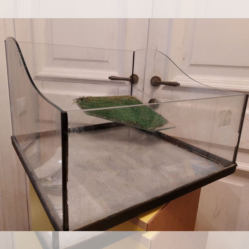 Террариум для черепахи