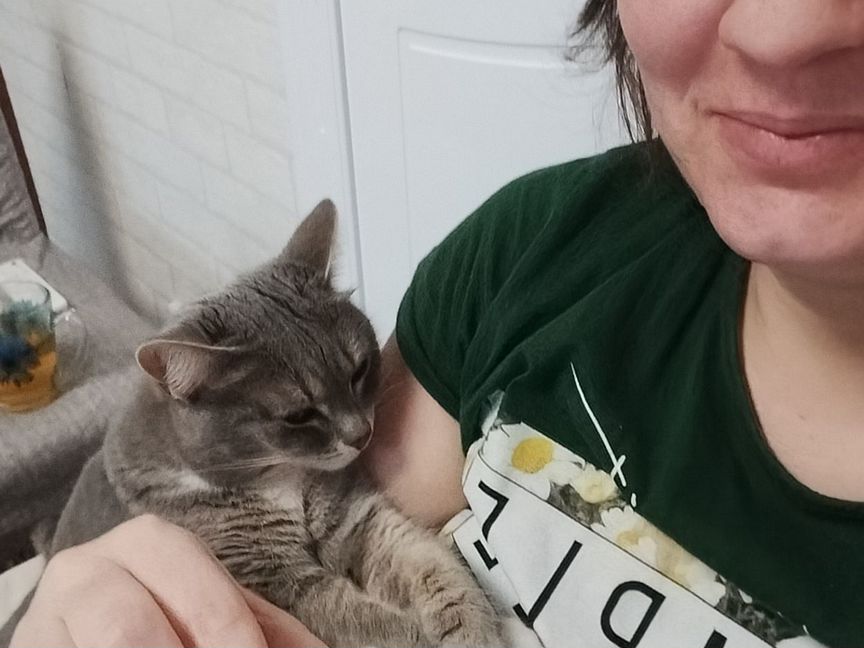 Отдам в добрые руки