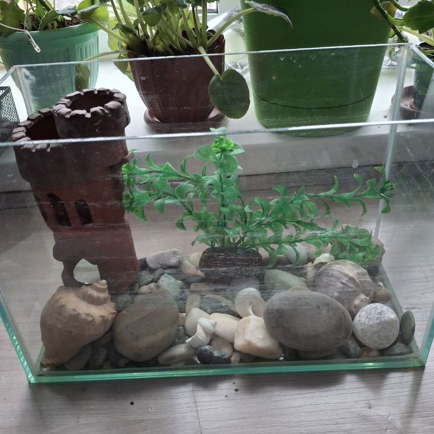 Аквариум для рыбок 2 л