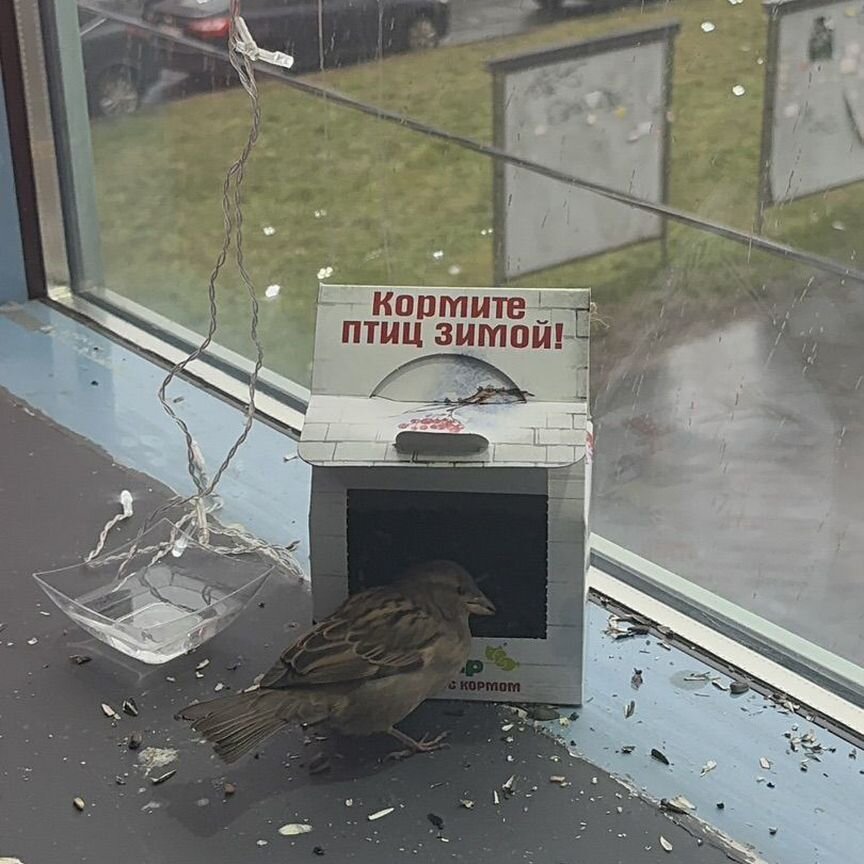 Воробей