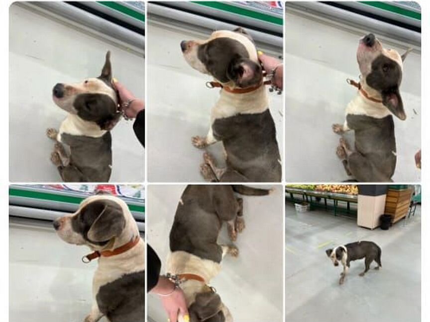 Я потерялся