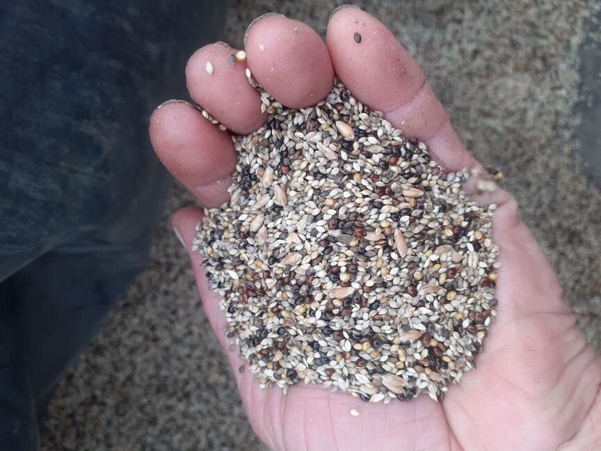 Зерновые отходы