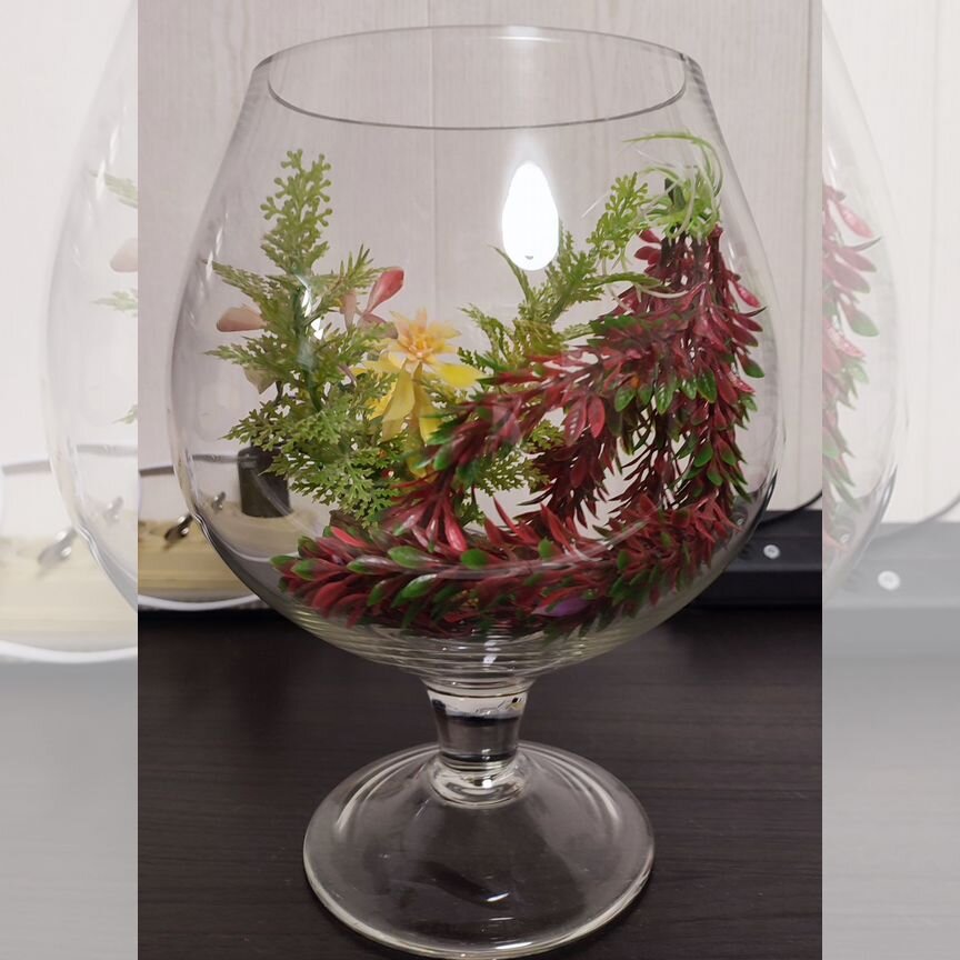 Аквариум рюмка