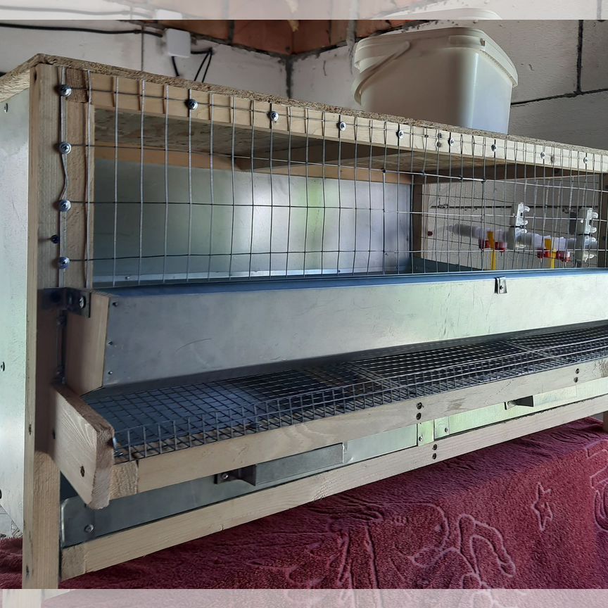 Перепелинная клетка