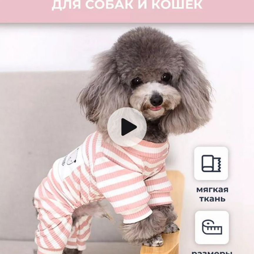 Для собак
