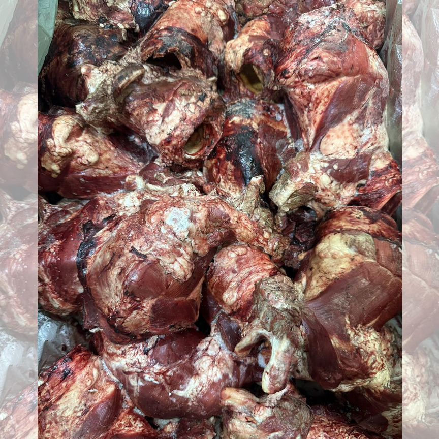 Калтык говяжий мясо для собак