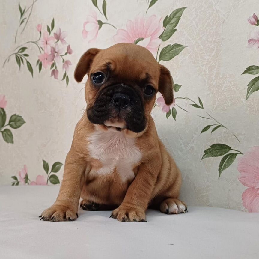 В самые любящие ручки