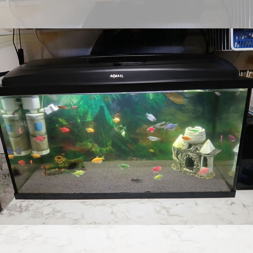 Аквариум с рыбками