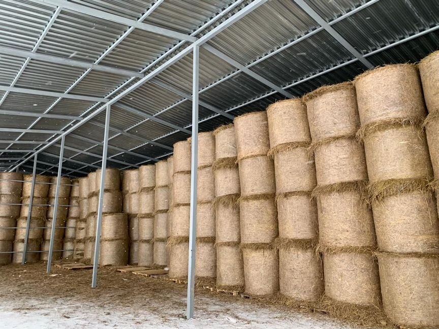 Продам сено в рулонах и в тюках