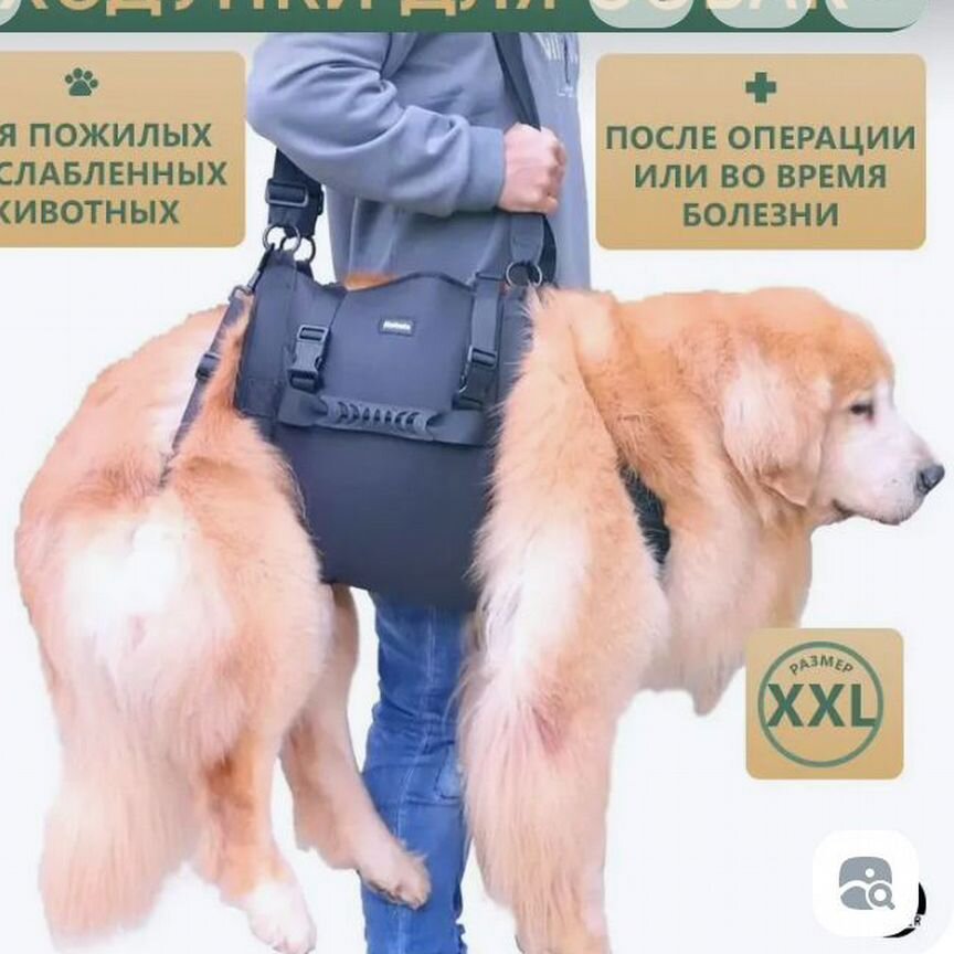 Поддержка для собак крупных пород