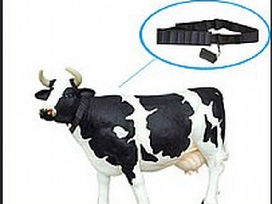 Gps трекер лошади, коров, крс adm501