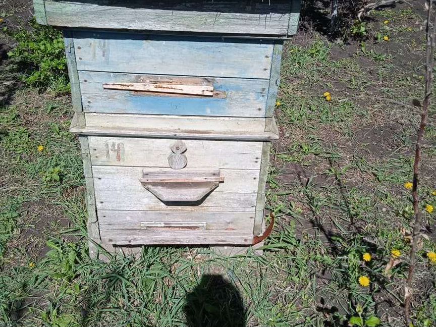 Улей для пчел бу