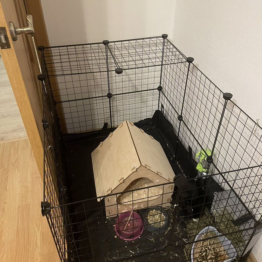 Вольер для домашних животных