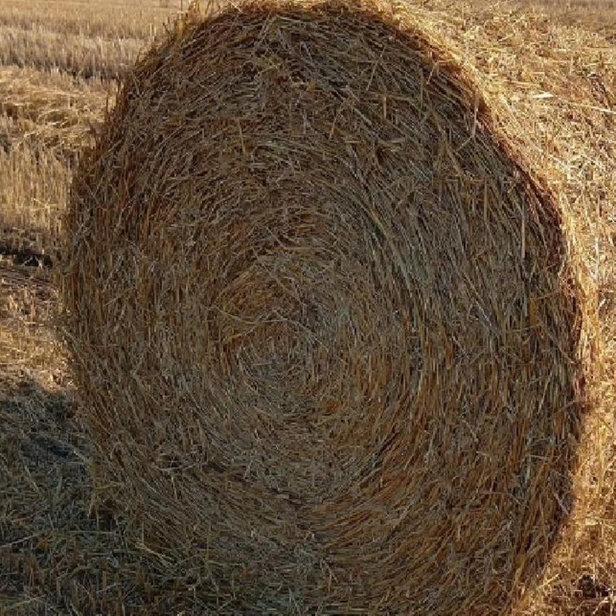 Солома в тюках