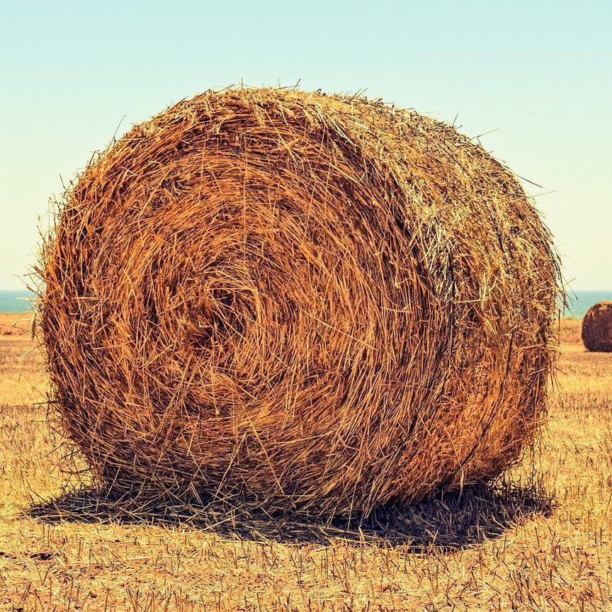 Сено, тюк 3ц