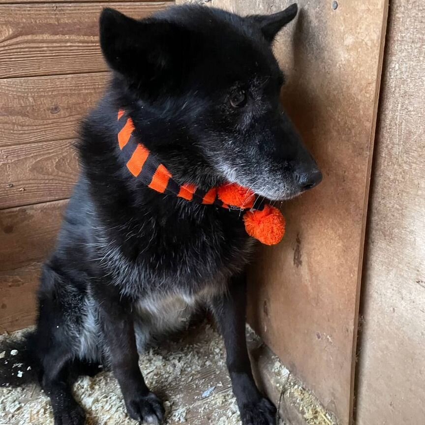 Куба провела всю жизнь за решёткой