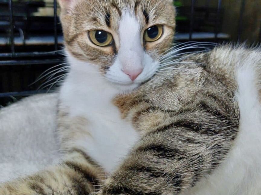 Валюша - нежнятина