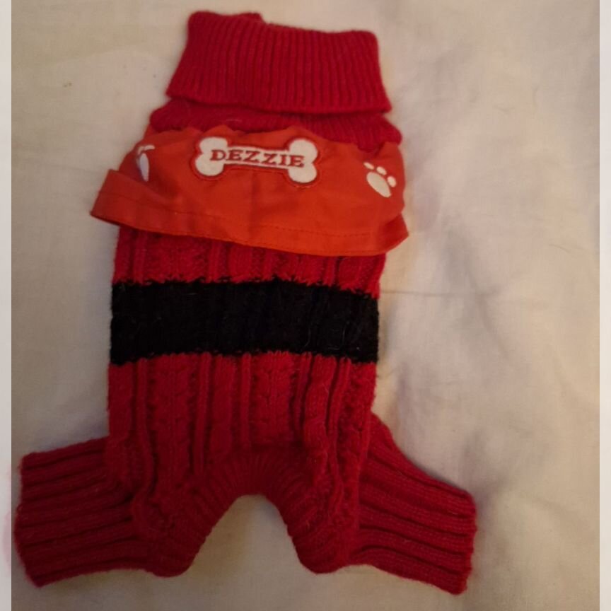 Одежда для маленьких собак