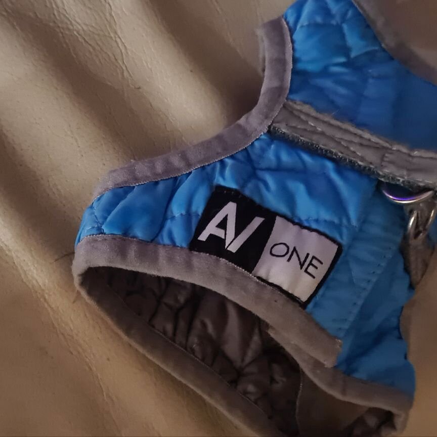 Шлейка для маленькой собачки