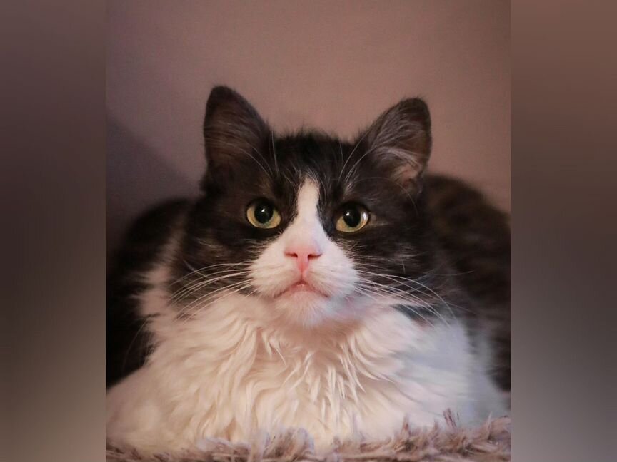 Нежная девочка приехала оттуда, в добрые руки