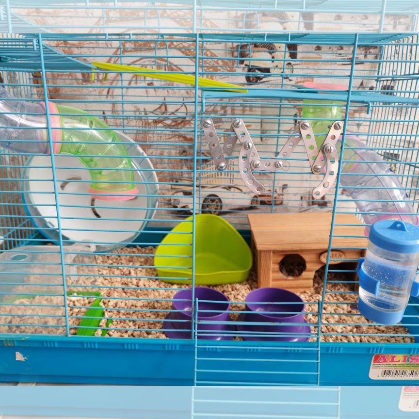 Клетка, мебель для хомяка, шар, колесо, песок,сено