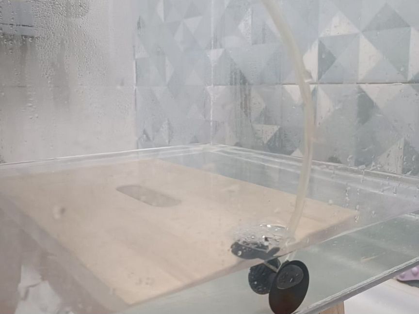 Аквариум,флорариум