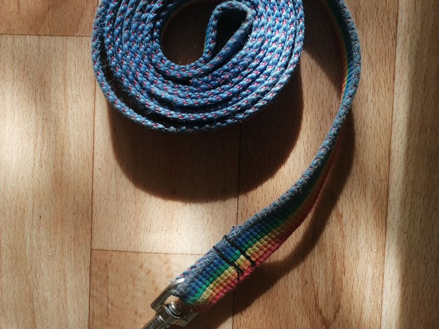 Поводок для собак