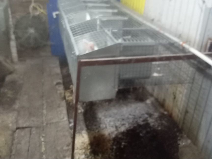 Клетки для кроликов полупромышленные