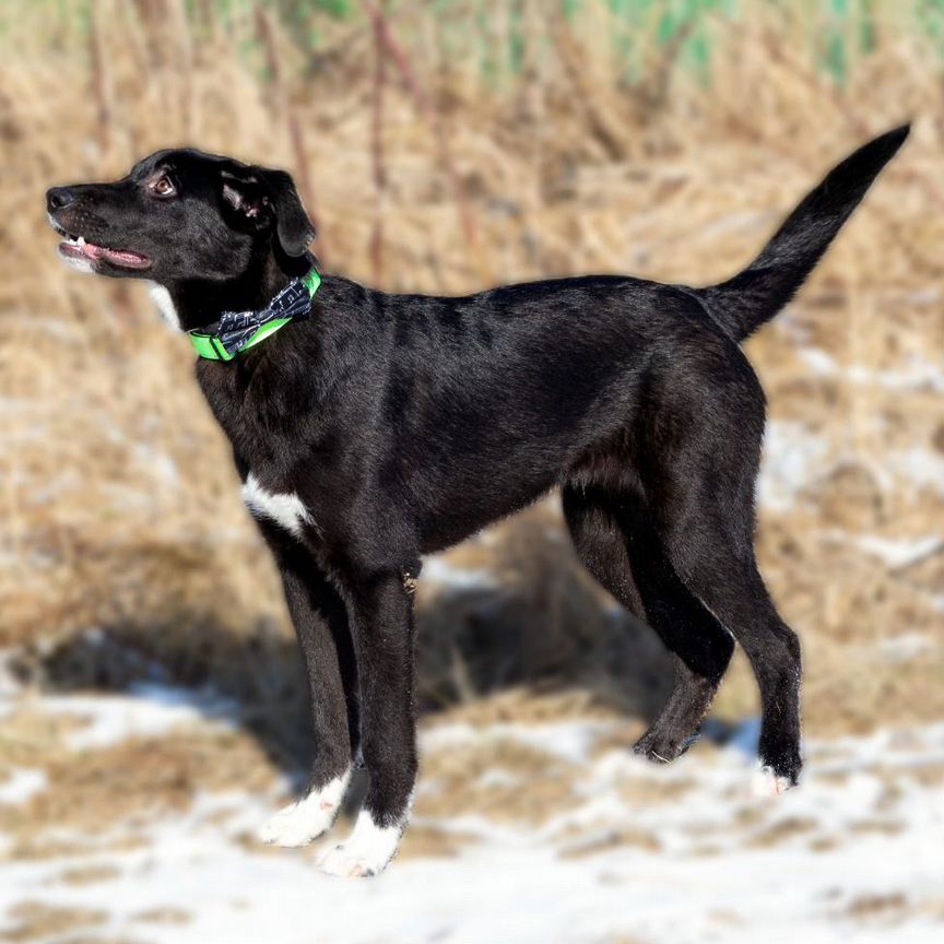 Красавчик Джон ждет семью