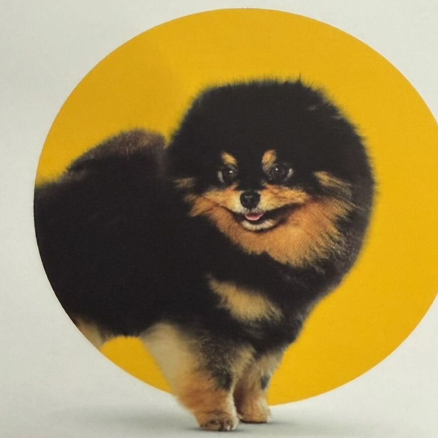 Добавки для корма бравек