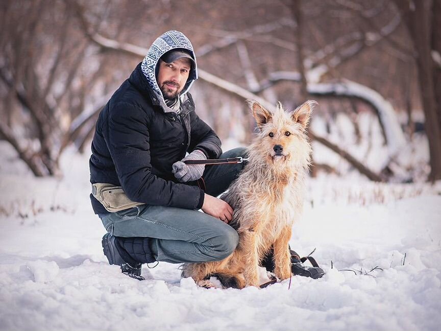 Собака