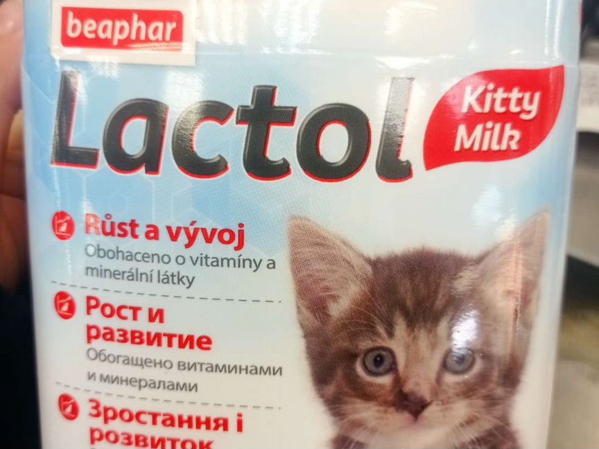 Сухая молочная смесь для котят Beaphar 500гр