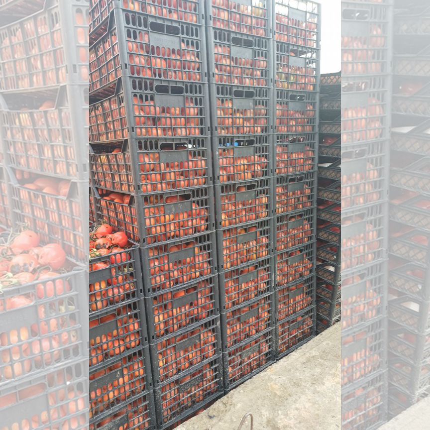 Корма для сельскохозяйственных