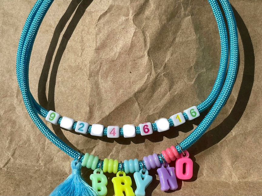 Адресник для собак и кошек