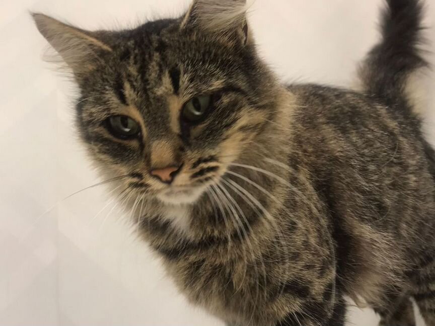 Дафна - жертва алкоголиков