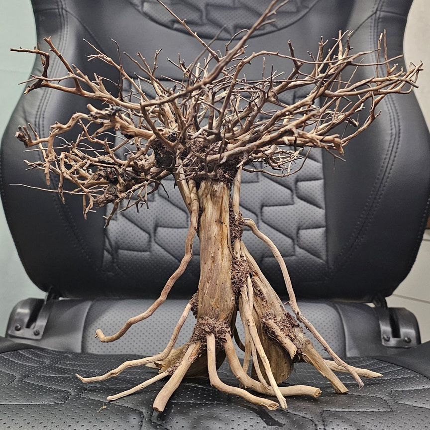 Дерево в аквариум