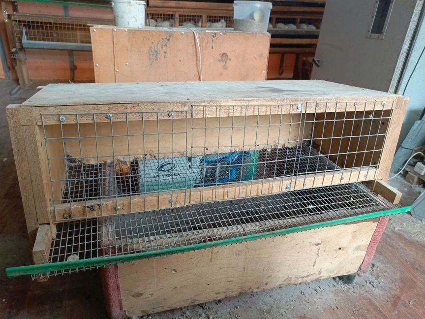 Клетка для перепелов