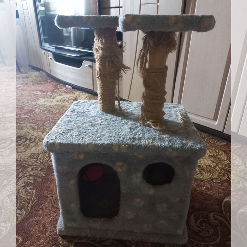 Когтеточка