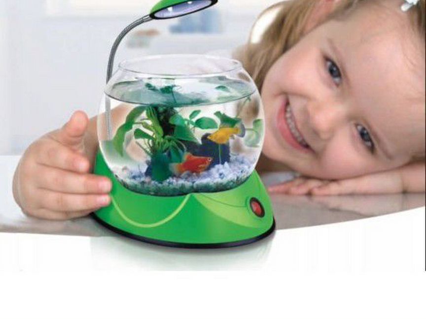 Готовый аквариум