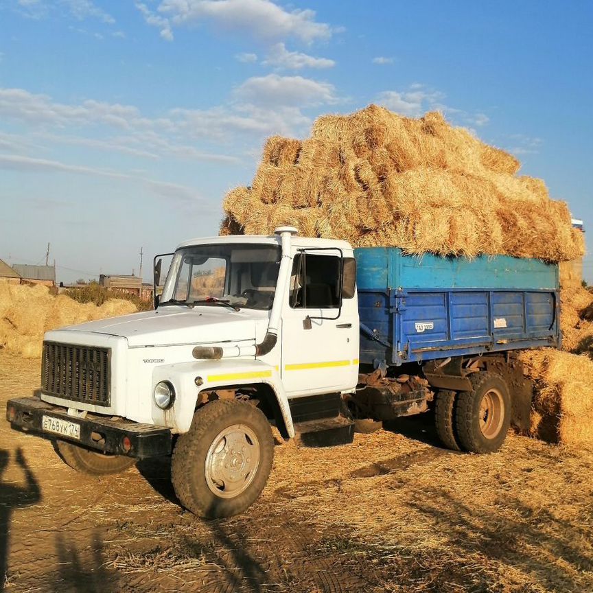Солома пшеничная в тюках