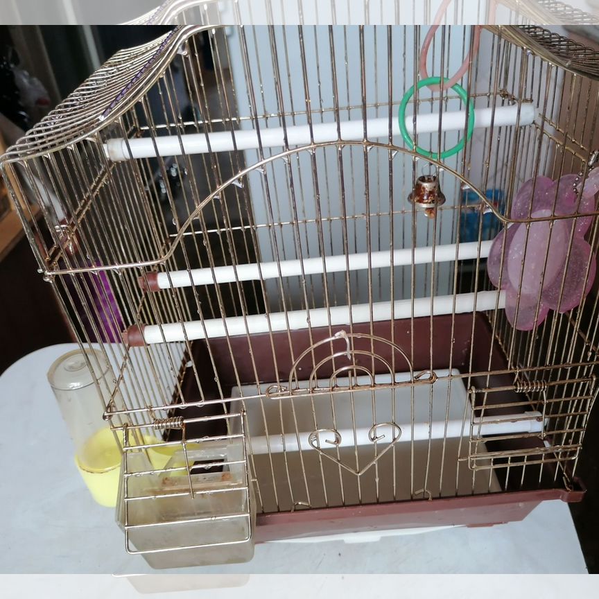 Клетка для попугая бу