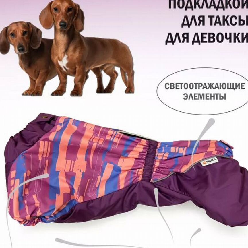 Комбинезон демисезонный для таксы