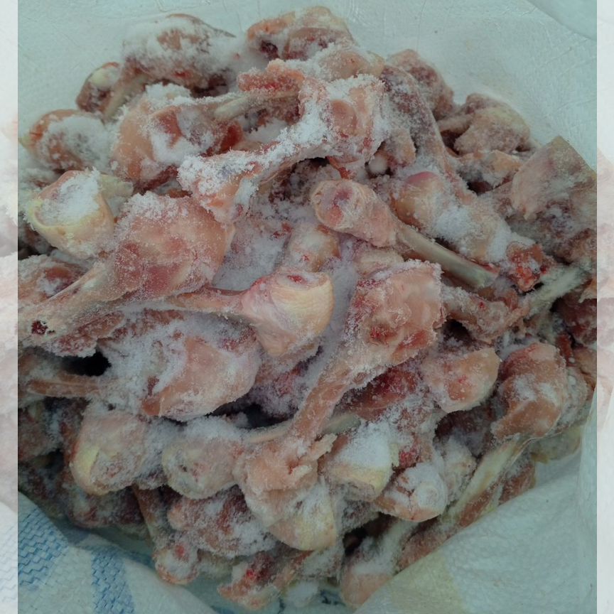 Корм для собак