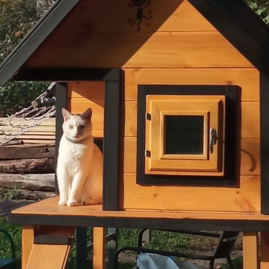 Кошачий домик