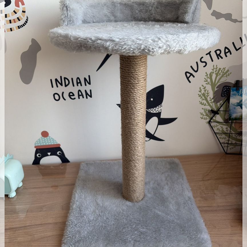 Когтеточка