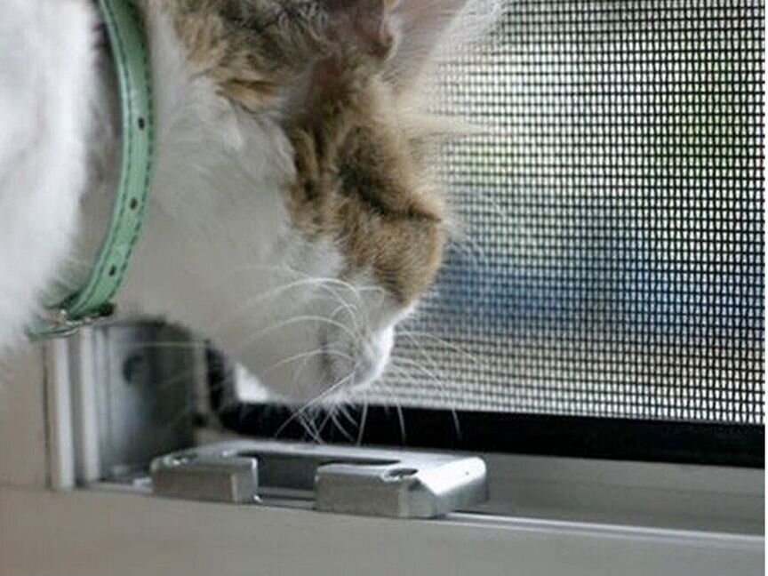 Сетка антикошка