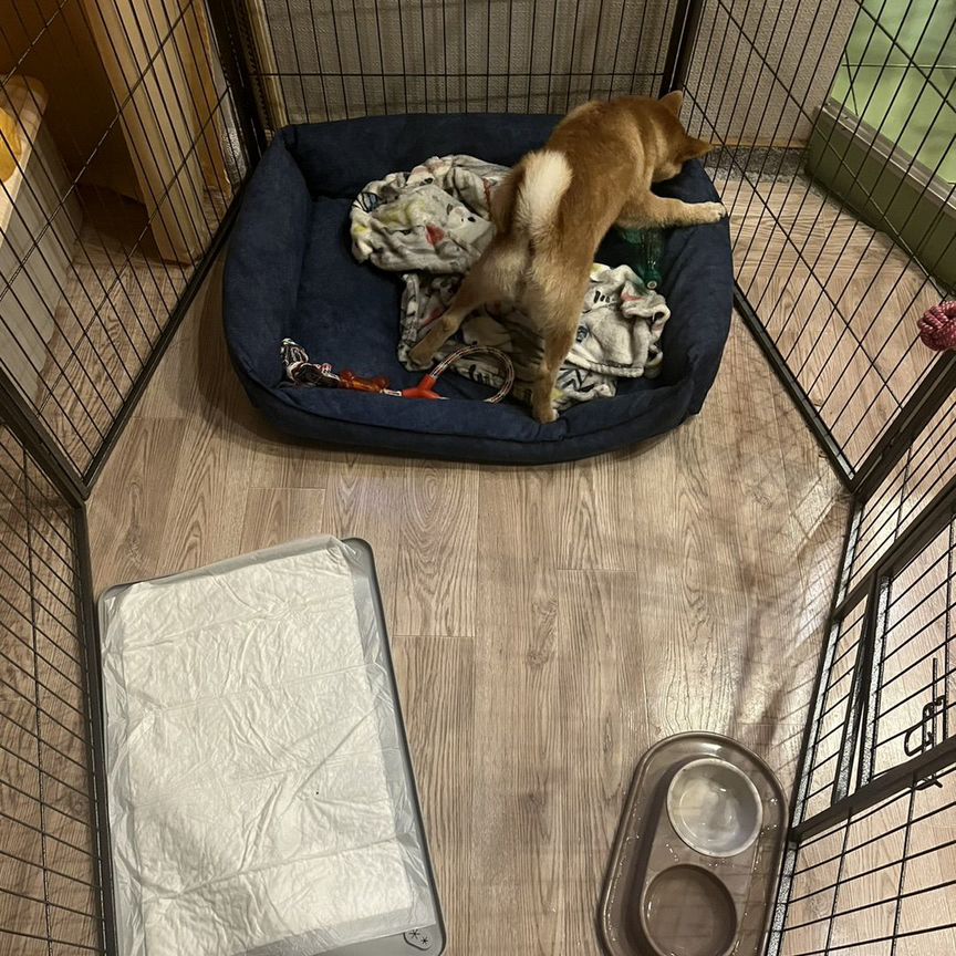 Вольер wild-town трансформер усиленный