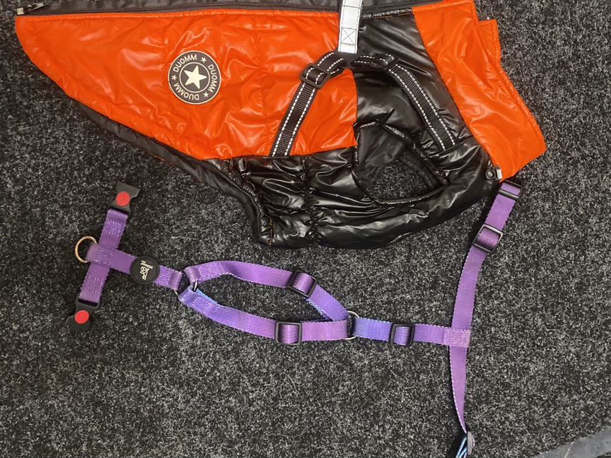 Непромокаемый костюм,шлейка